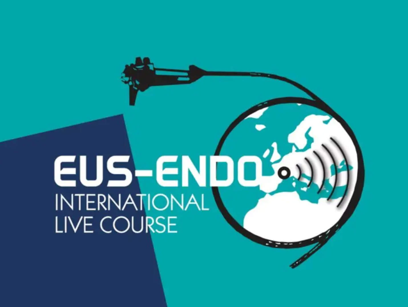 Endo International Logo